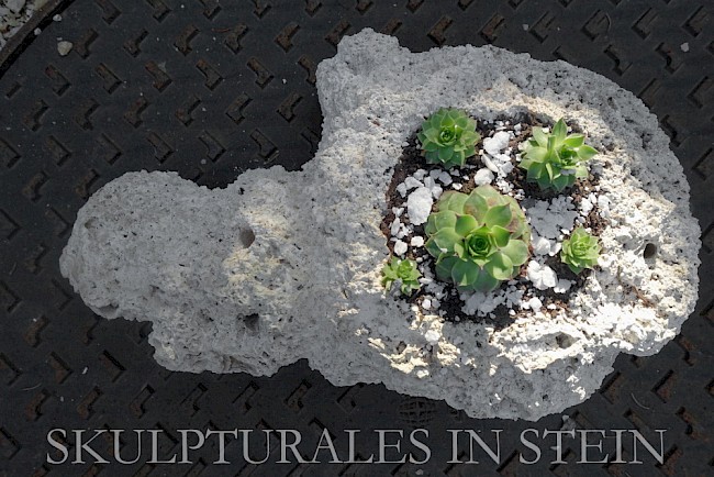 Pflanzenstein - Skulpturales in Stein